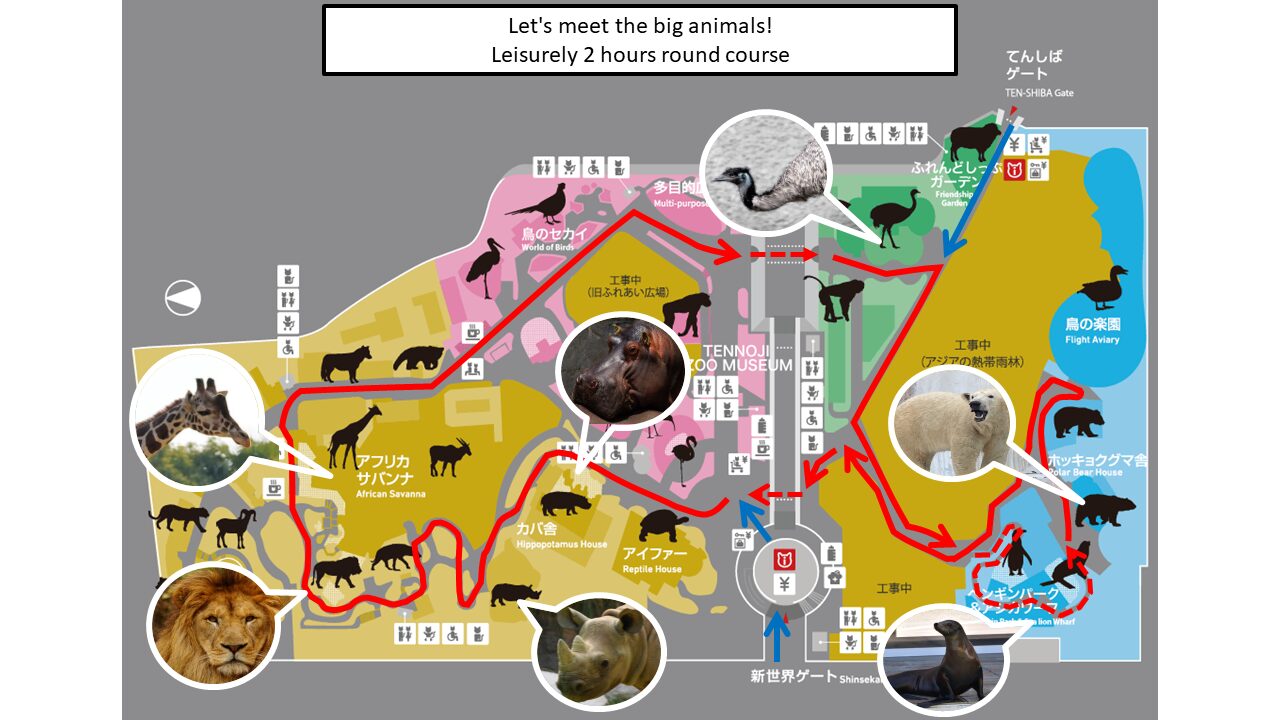 Knack of enjoy the zoo | OSAKA TENNOJI ZOO, the local incorporated ...