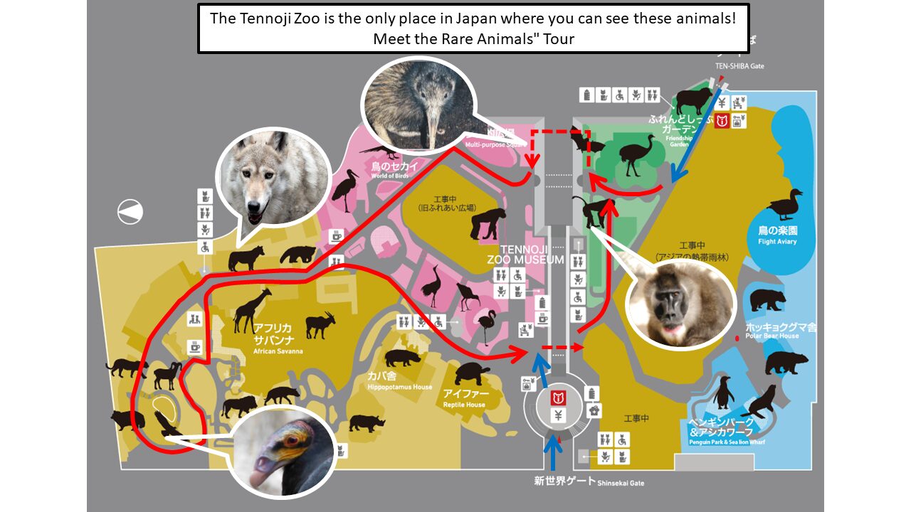 Knack of enjoy the zoo | OSAKA TENNOJI ZOO, the local incorporated ...