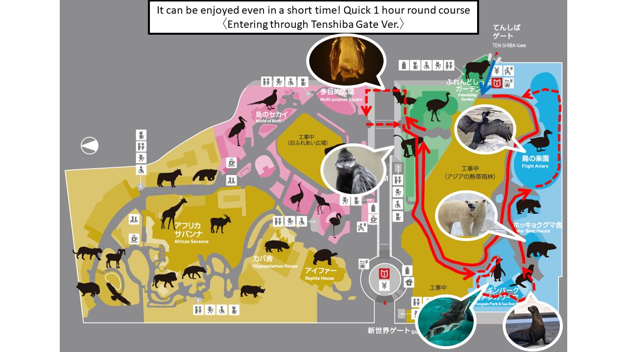 Knack of enjoy the zoo | OSAKA TENNOJI ZOO, the local incorporated ...