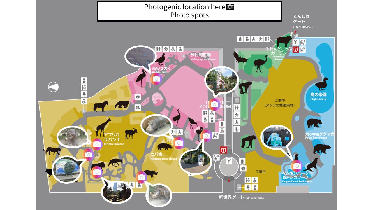 Knack of enjoy the zoo | OSAKA TENNOJI ZOO, the local incorporated ...