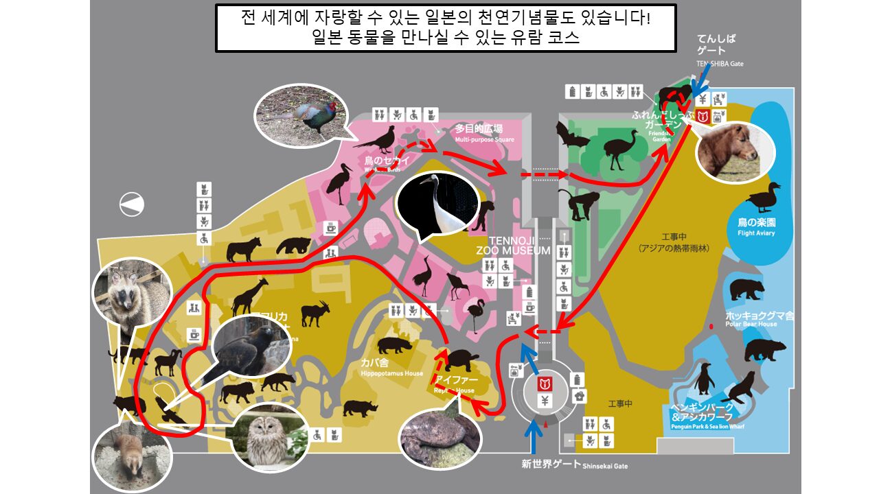 원내를 즐기는 요령 | OSAKA TENNOJI ZOO, the local incorporated administrative ...